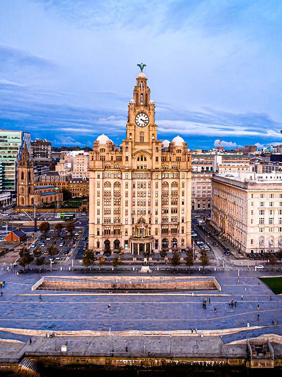 Phoenix Major - The Phoenix Programme