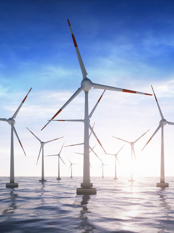 Phoenix Major - The Phoenix Programme